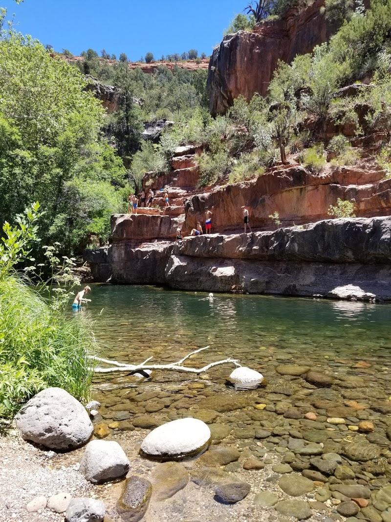 Are Dogs Allowed At Grasshopper Point